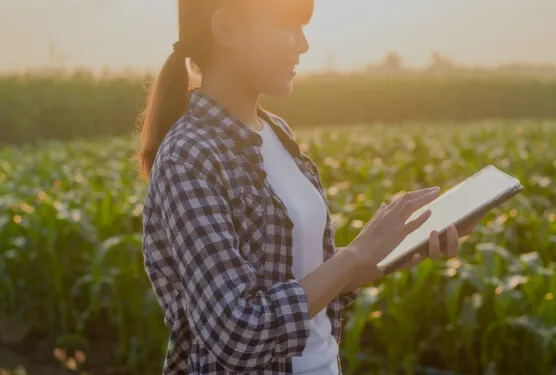 Soil API - Make Better Decisions With Soil Data - Ambee